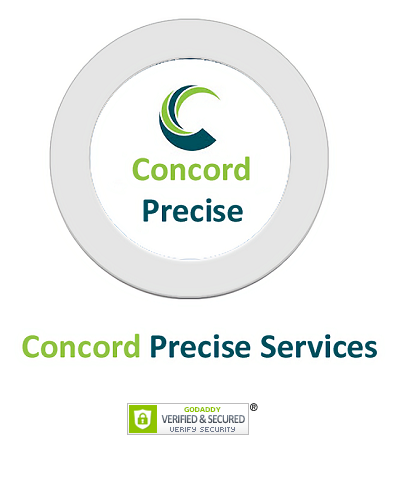 Precise Services